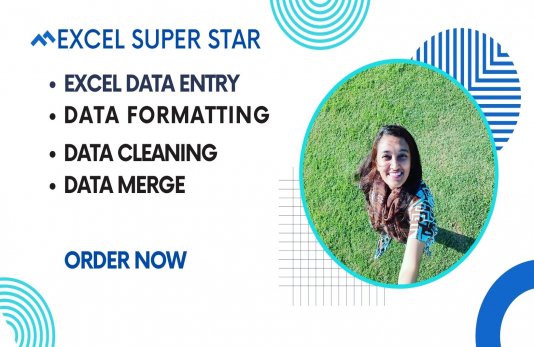 Data Entry, Data Mining, Data Formatting | Legiit