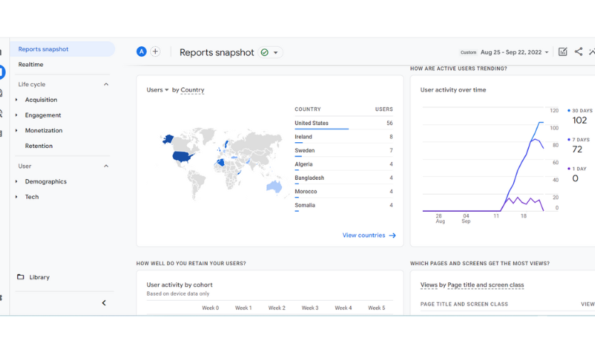 Setup Google Analytics 4 (GA4) + GTM | Legiit