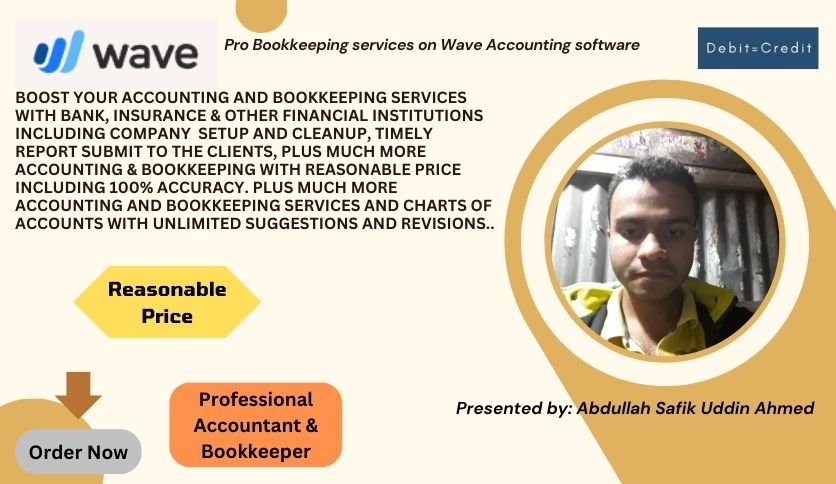 Pro Bookkeeping On Wave Accounting Software | Legiit