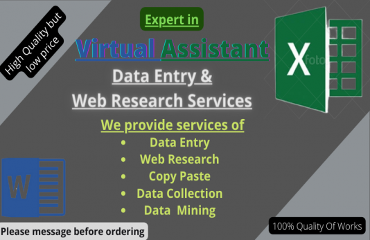 You Will Get Perfect Data Entry, Manual Typing, Converting PDF To Word And Excel | Legiit