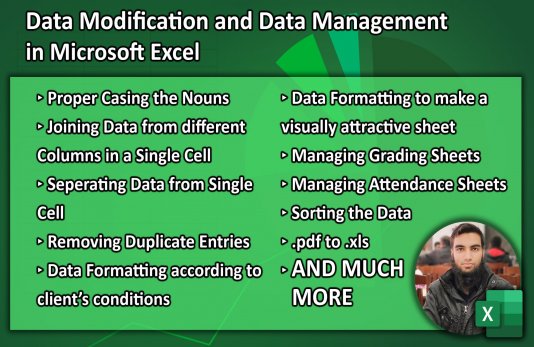 Data Modification And Data Management In Microsoft Excel | Legiit