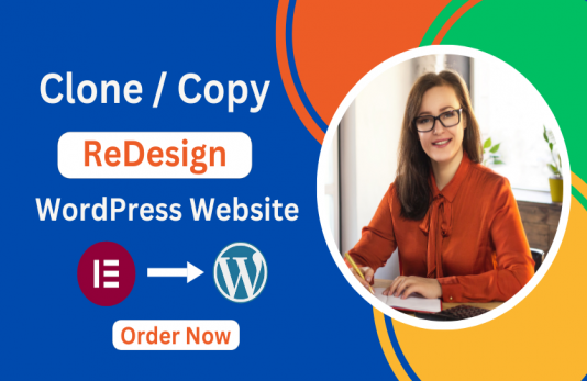 Copy, Clone, Redesign Wordpress Website | Legiit