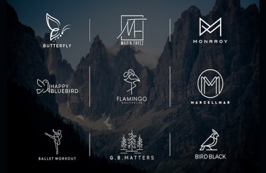 Design A Custom Minimalist Logo For Your Business | Legiit