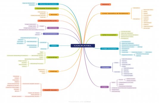 Topical Map For Topical Authority | Legiit