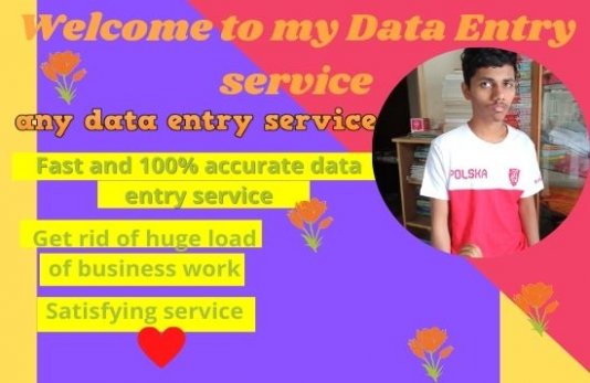 Data Entry Services With Full Accuracy | Legiit
