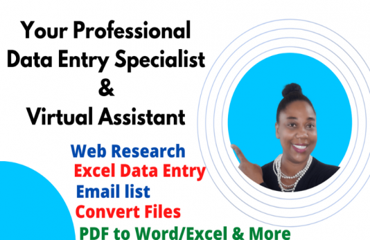 Virtual Assistant And Data Entry Expert | Legiit