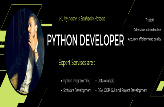 Python Programming & Software Project Development | Legiit Python Programming & Software Project Development | Legiit