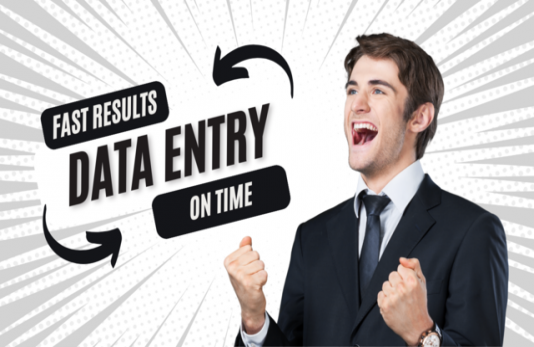Secure And Accurate Data Entry Services | Legiit