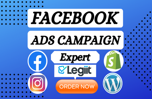 Setup And Manage Facebook And Instagram Ads | Legiit