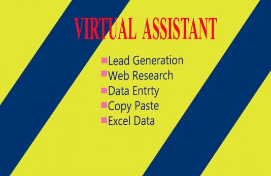 Virtual Assistant, Data Entry | Legiit