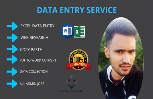 Professional Excel Data Entry, Copy Paste, | Legiit