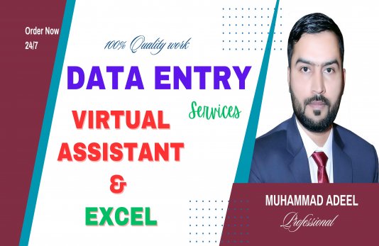 Data Entry Work, Excel, And Virtual Assistant | Legiit