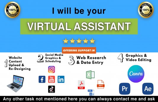 Data Entry, Web Research, And A Virtual Assistant | Legiit