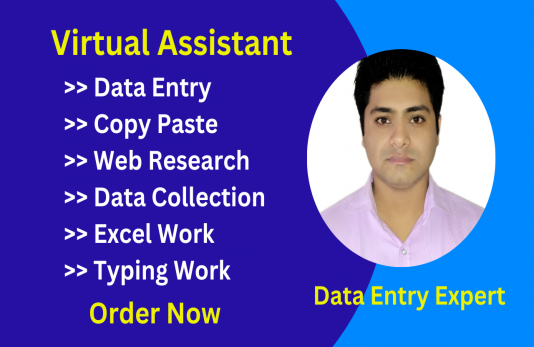 Professional Virtual Assistant | Legiit