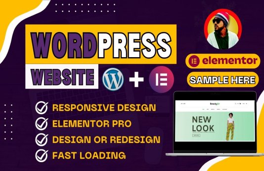 Design, Redesign Wordpress Website With Elementor | Legiit