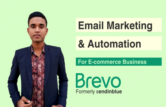 Brevo Newsletter Campaign Automation Flows | Legiit