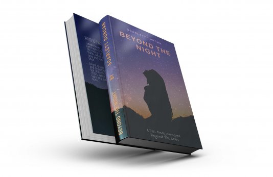 Crafting Eye-Catching Book Covers For Your Book | Legiit