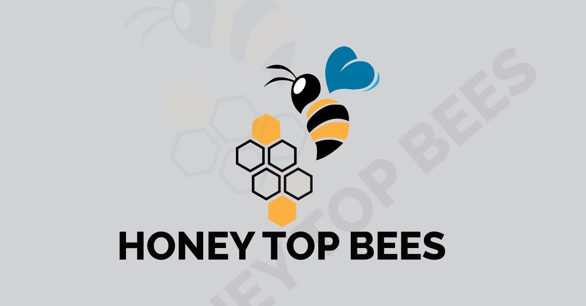 Create A Modern Minimalist Logo Design | Legiit