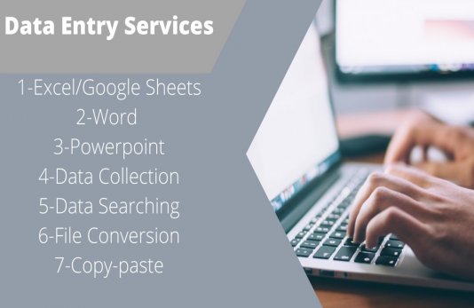 Data Entry, Web Research, Copy Paste, File Conversion And Data Collection. | Legiit