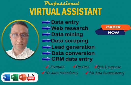 Virtual Assistant And All Type Of Data Entry | Legiit