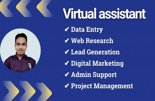 Professional Virtual Assistant For Data Entry, Data Mining, Web Research, | Legiit