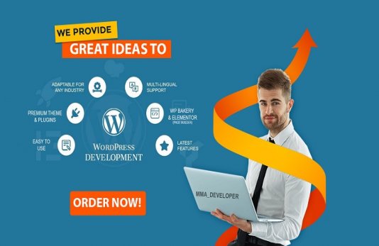 Create Clone Redesign Custom Wordpress Website | Legiit