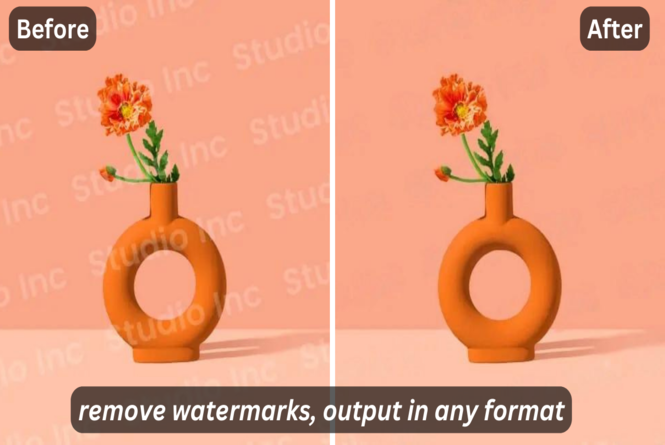 Remove Watermarks, Logo From Photos, Pictures, PDF | Legiit