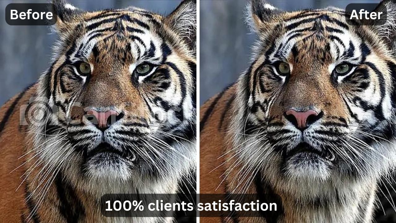 Remove Watermarks, Logo From Photos, Pictures, PDF | Legiit