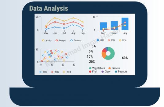 Analyze Data Using Python | Legiit