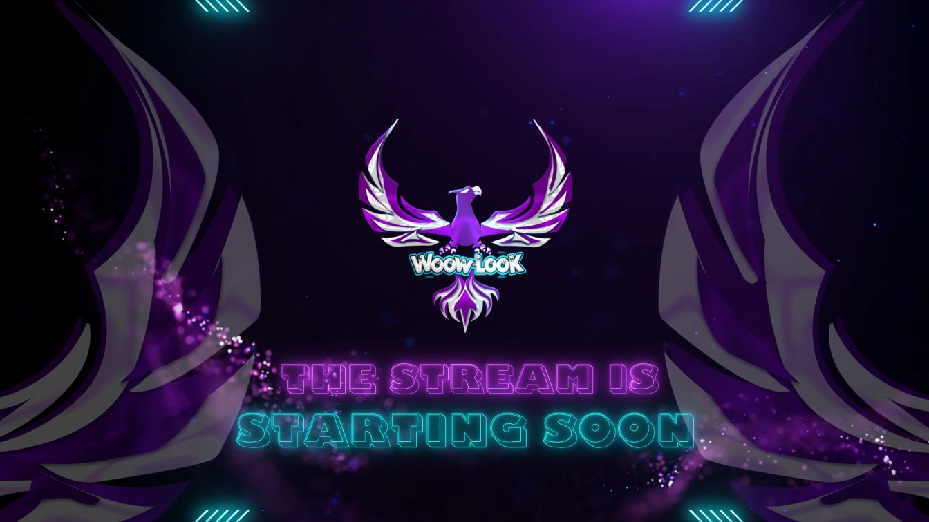 Design Unique Animated Stream Overlay For Twitch | Legiit