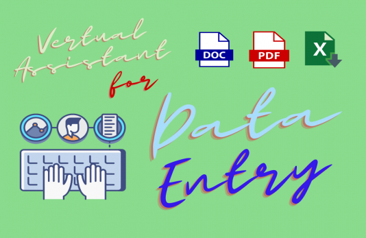 Data Entry Virtual Assistant | Legiit