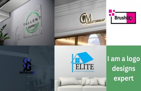 Create Custom Company Logo Designs | Legiit