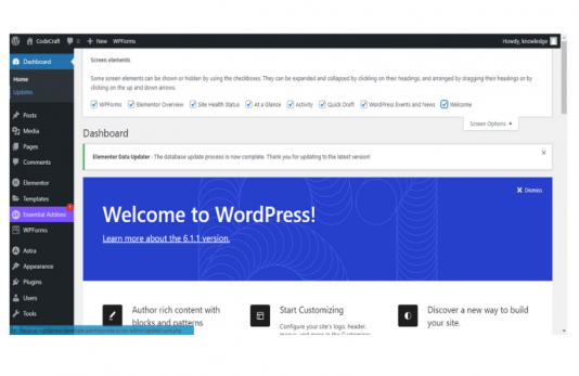 Install WordPress, Setup Theme + Customization | Legiit