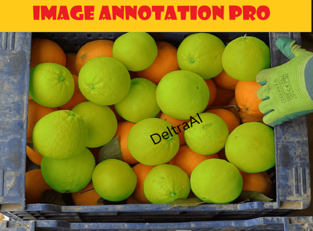 Data Annotation Expert/Image Annotation | Legiit