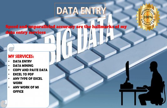 I Will Do All Kinds Of Data Entry Services. | Legiit