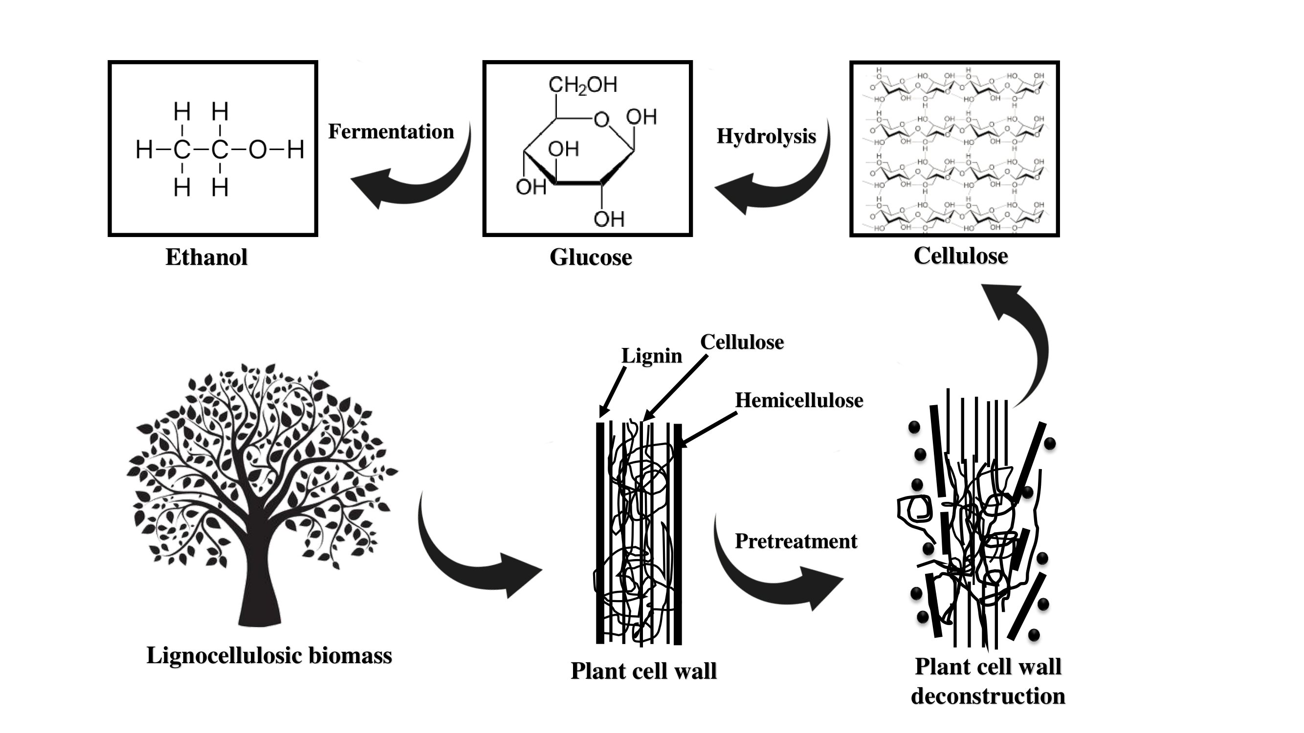 Design Scientific Illustration, Graphs And Figures | Legiit