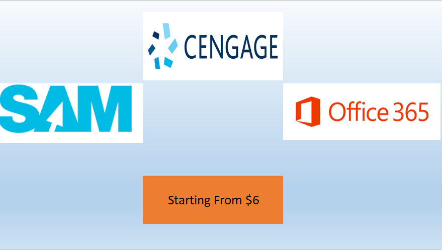 SAM CENGAGE Projects In MS Office | Legiit