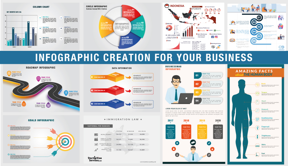 Infographic Creation For Your Business | Legiit