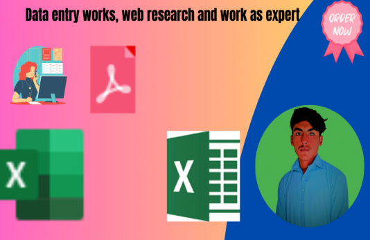 Fast And Accurate Excel Data Entry | Legiit