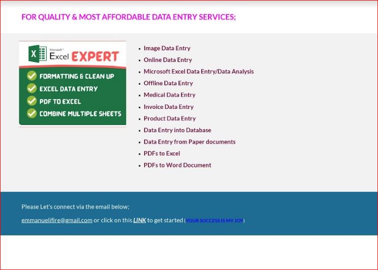 Microsoft Excel Data Entry | Legiit