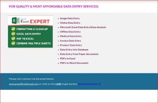 Microsoft Excel Data Entry | Legiit