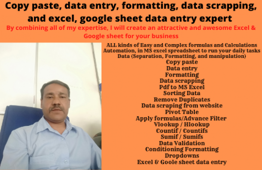 Data Entry, Formatting, Data Scrapping, And Excel Google Sheet Data Entry Expert | Legiit