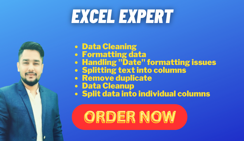 Excel Data Cleaning & Formatting, | Legiit