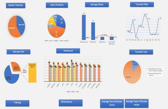 Interactive Human Resource Dashboard In Excel | Legiit