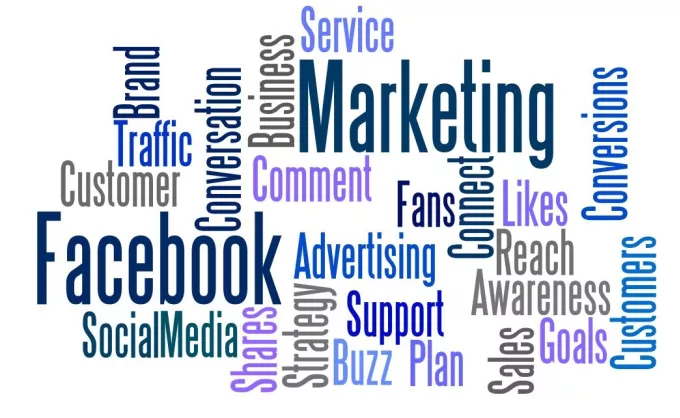 Create And Manage Ur Fb Ads | Legiit