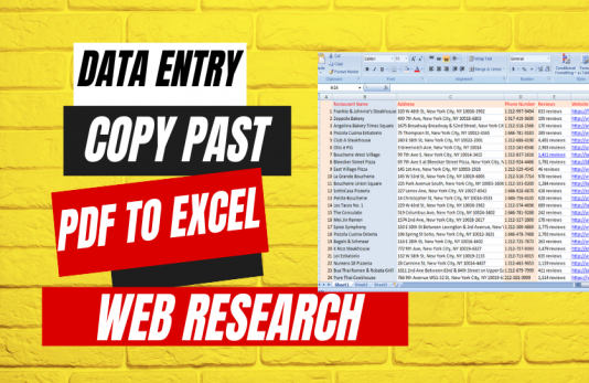 Data Entry Typing Work Job In Excel | Legiit