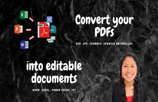 Convert A PDF To An Editable Document (word, ...) | Legiit