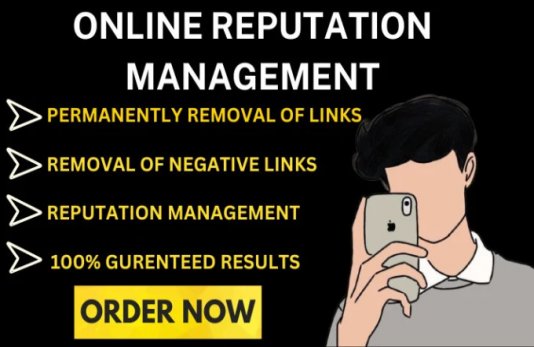 Removal Of Mugshots And Negative Links | Legiit