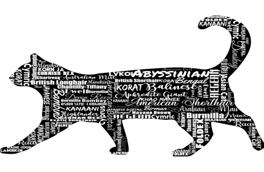 Create Professional And Personal Word Cloud Art | Legiit