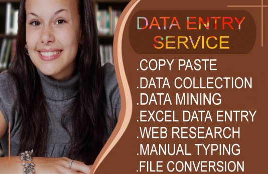Data Entry,excel,copy Paste,manual Typing | Legiit